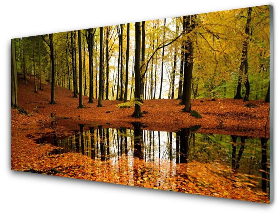 akrylový obraz Les Příroda 140x70cm