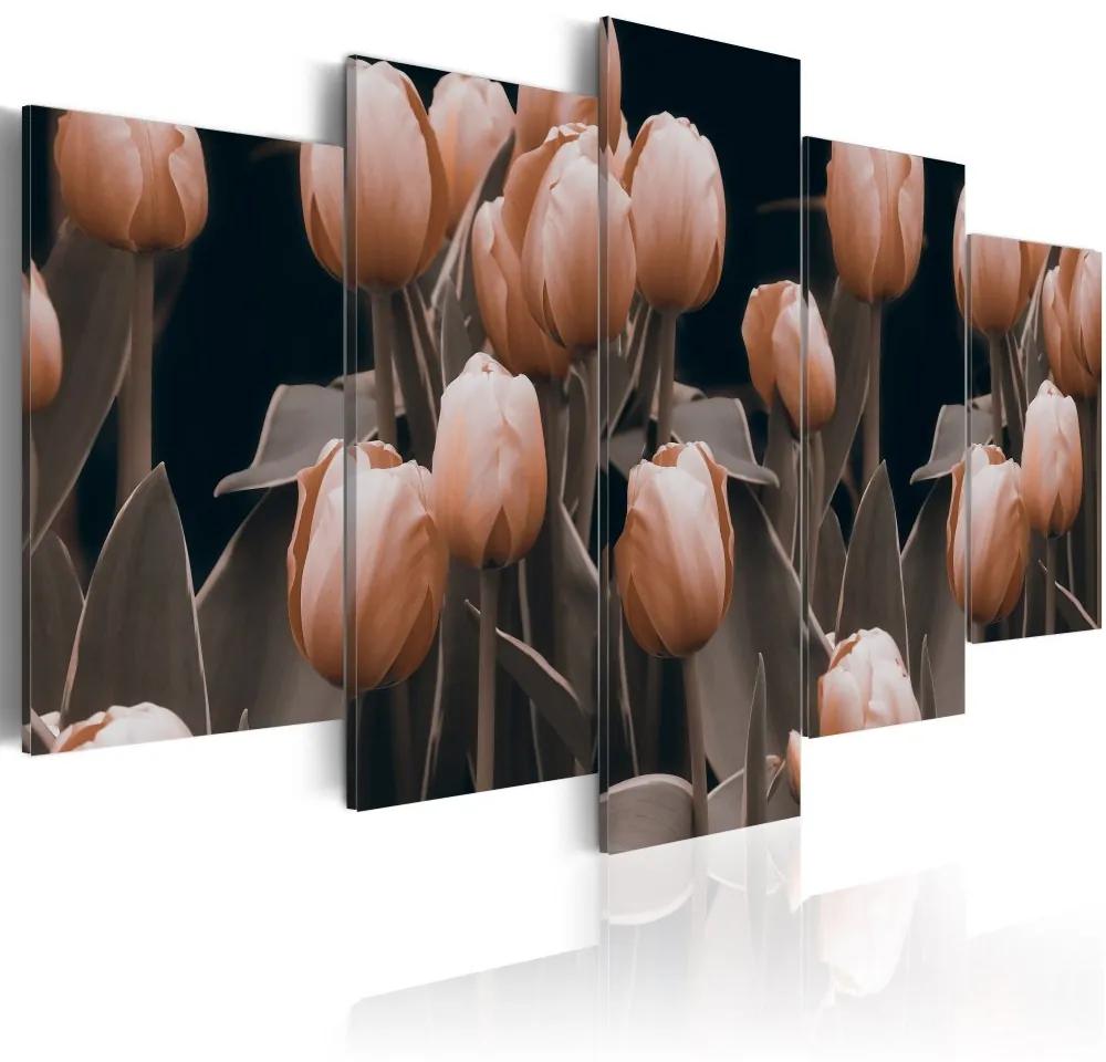 Obraz na plátně Bimago - Tulips in sepia 100x50 cm