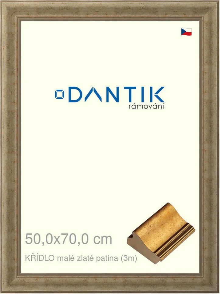 DANTIK rámeček 50x70 | KŘÍDLO malé zlaté patina (Plexi Čiré)