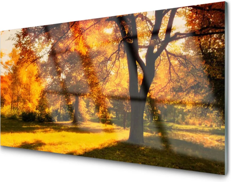 Skleněný obraz Stromy Podzim Příroda