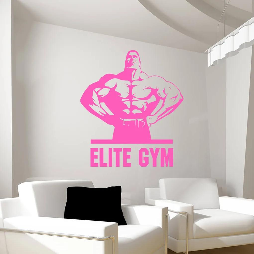 Živá Zeď Samolepka na zeď Elite Gym Barva: černá