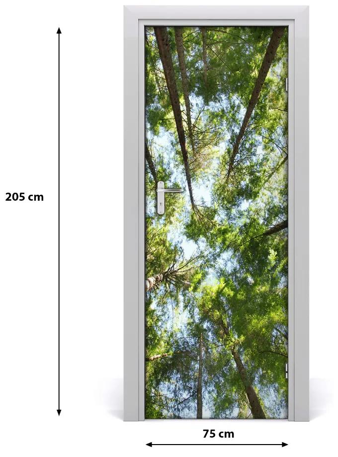 Fototapeta na dveře samolepící koruna stromů 75x205 cm