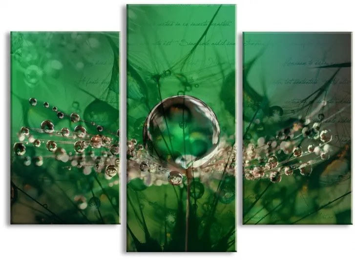 Obraz kapky rosy Green Velikost (šířka x výška): 120x90 cm