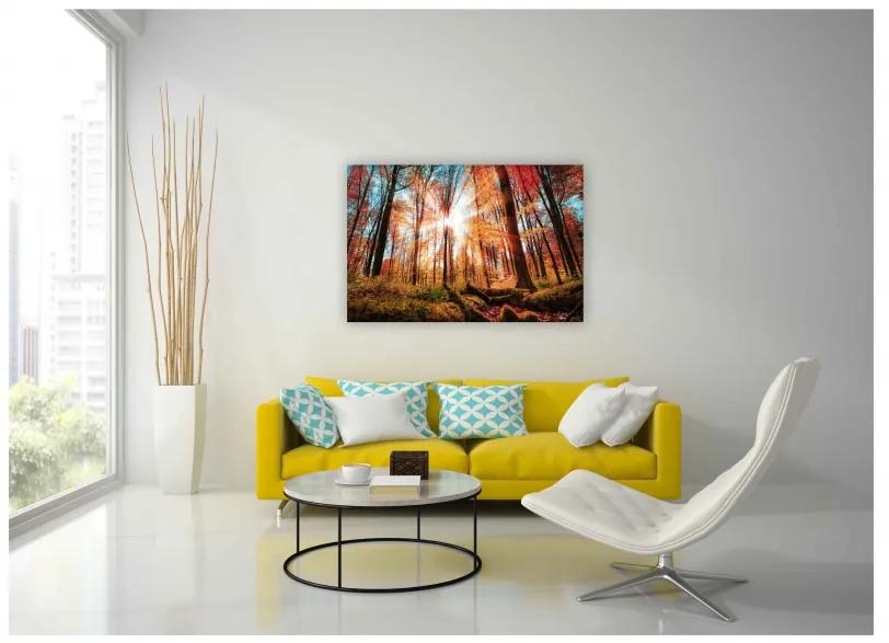 Malvis ® Obraz paprsky slunce Velikost: 120x80 cm
