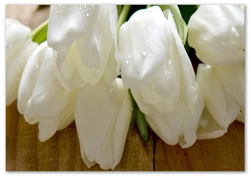 Wallmuralia Fotoobraz na skle Bílé tulipány 100x70 cm