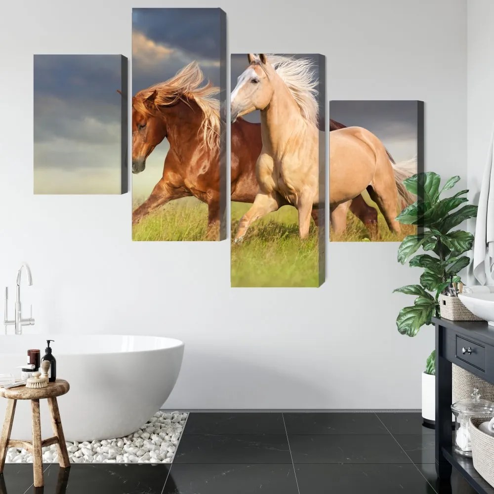 Vícedílný obraz Koně Cválající Na 3D Louce Nedostatek Nedostatek Plátno Canvas 120x75