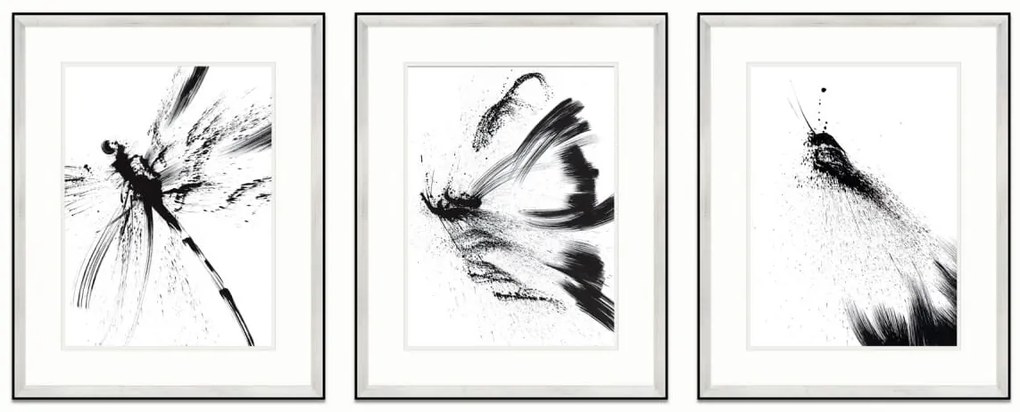 Moderní černobílý triptych do loftových a modern classic interiérů – Série Hmyz | Anna Borkowska