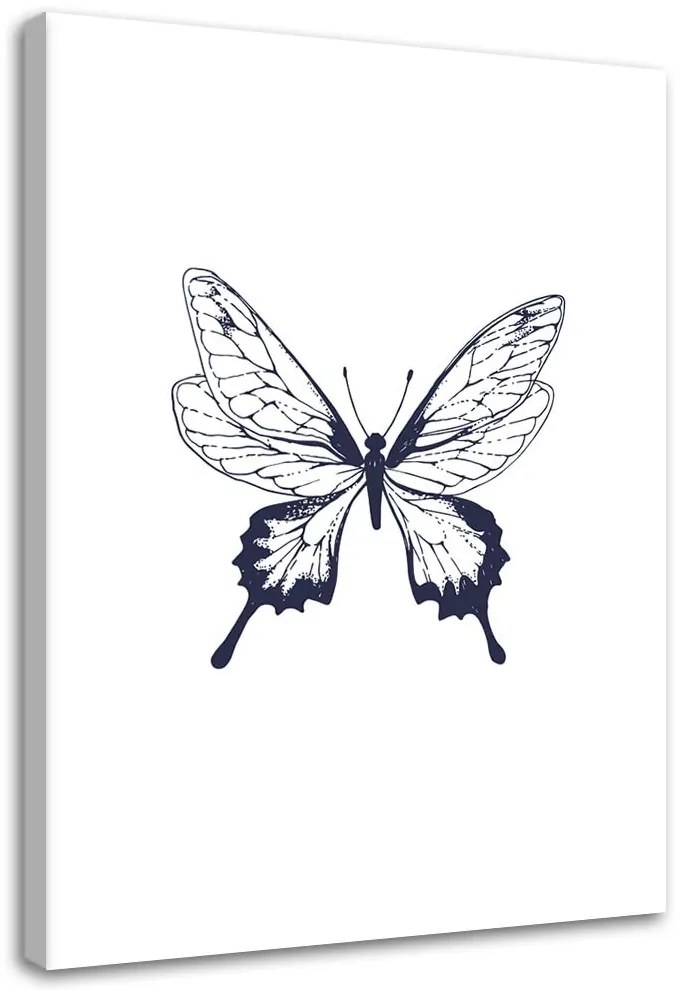 Gario Obraz na plátně Nakreslený motýl Rozměry: 40 x 60 cm