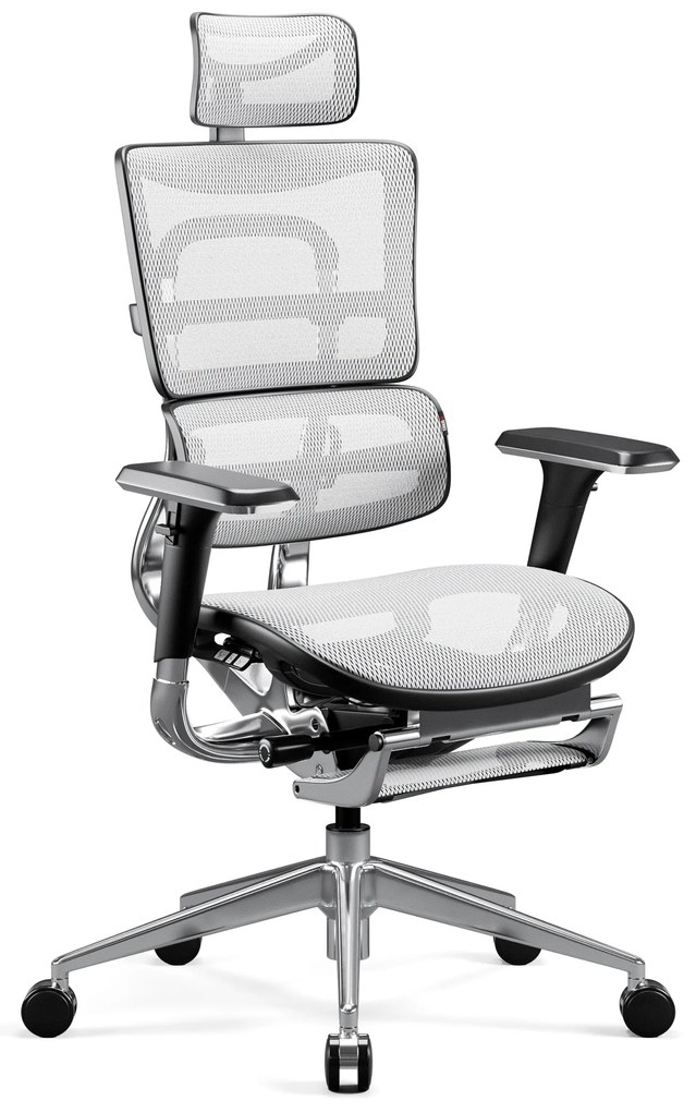 Ergonomické křeslo Diablo V-Master: černo bílá