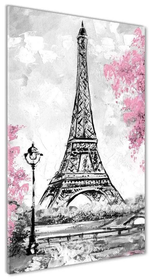 Wallmuralia Foto obraz akrylový Eiffelová věž Paříž 60x120 cm