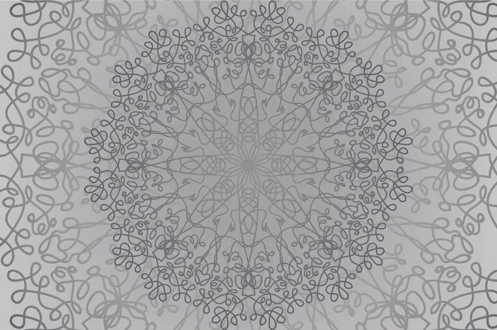 Tapeta šedý kruhový ornament - 375x250 cm