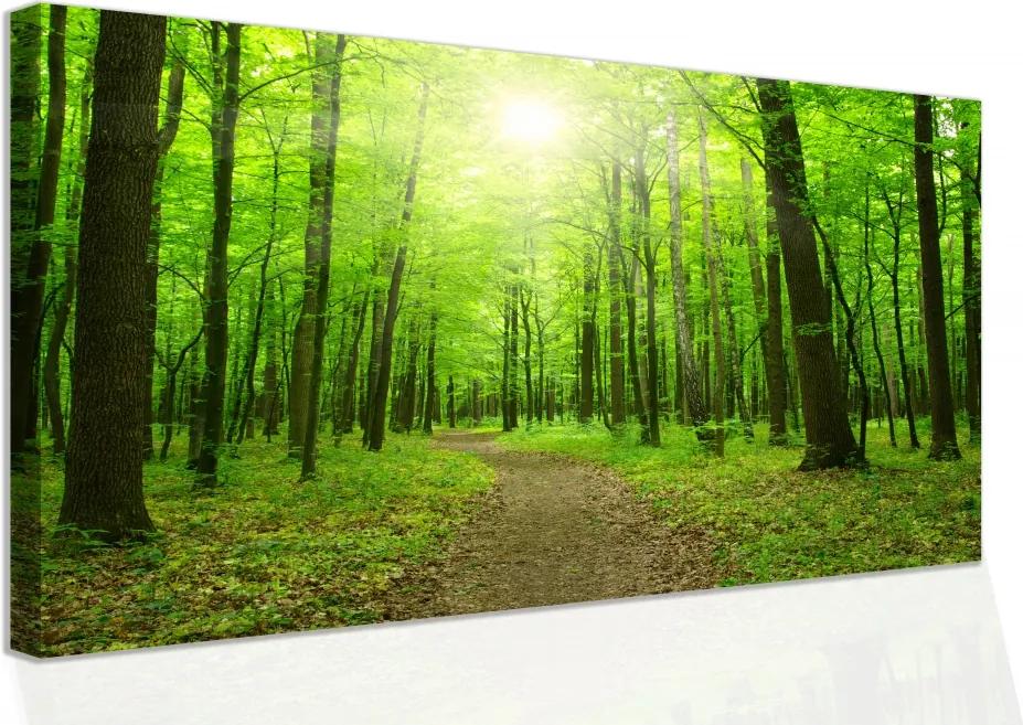 Obraz - procházka po lese (90x60 cm) - InSmile ®