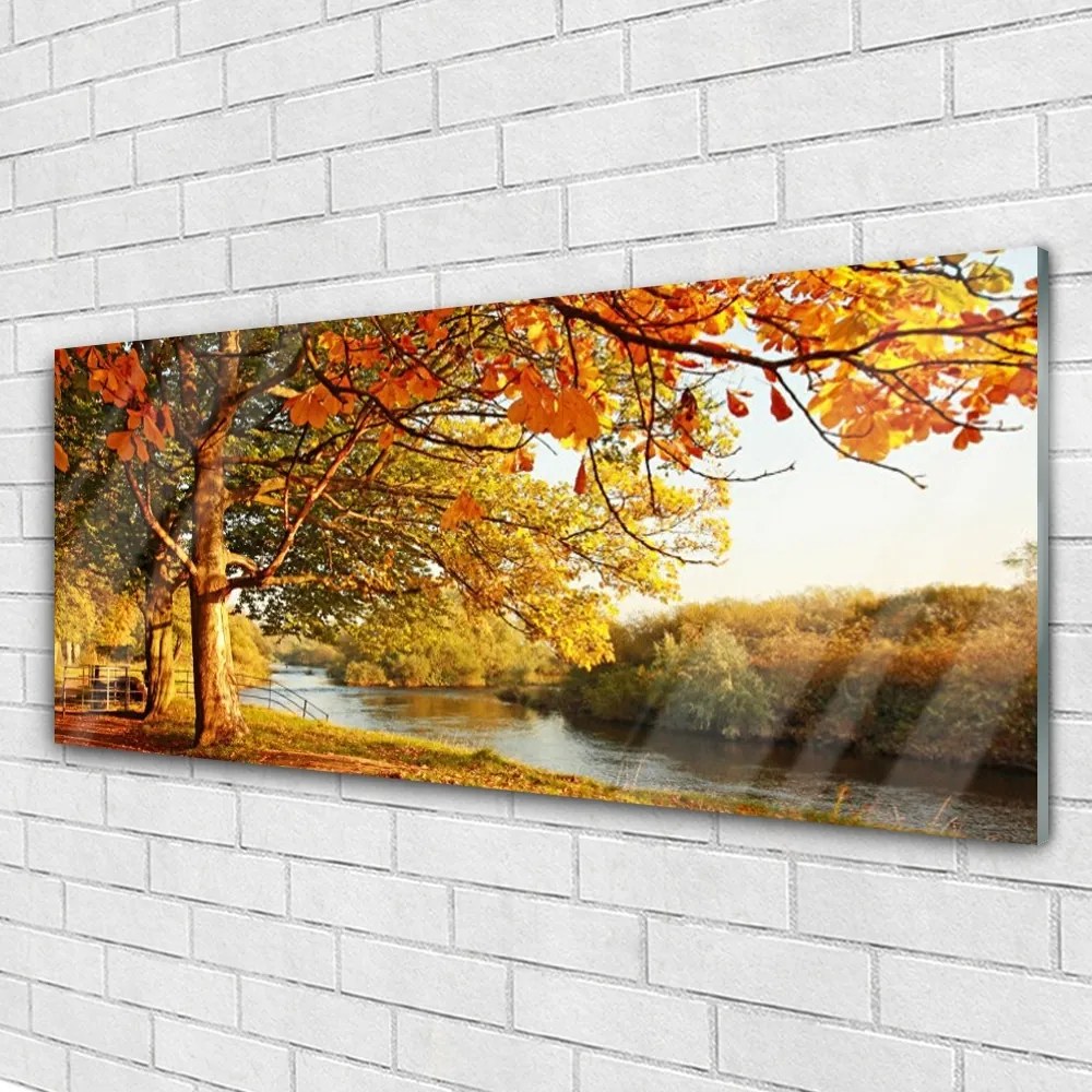 akrylový obraz Strom Jezero Příroda 125x50 cm