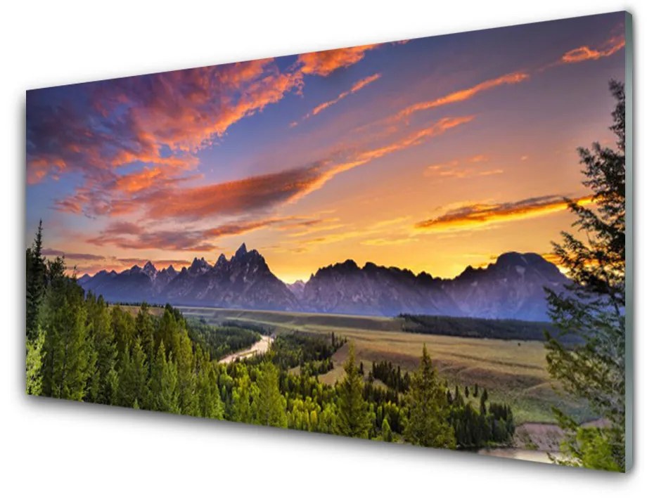 Obraz na skle Hora Les Slunce Příroda 100x50 cm