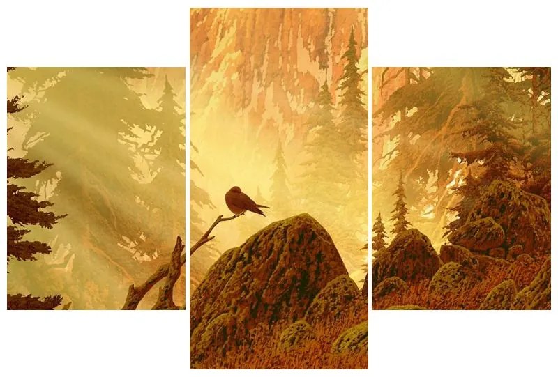 Obraz ptáčka v lese (90x60 cm), 40 dalších rozměrů