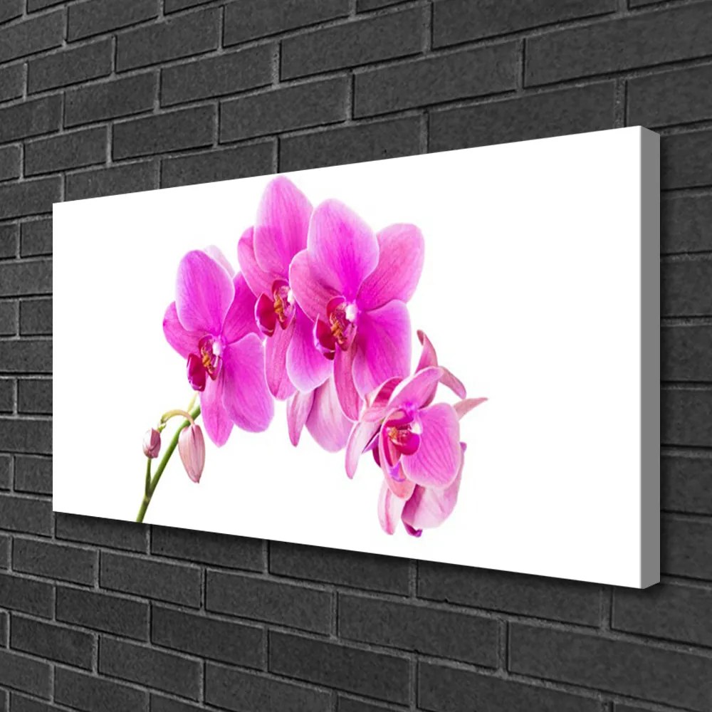 Obraz na plátně Vstavač Květ Orchidej 100x50 cm