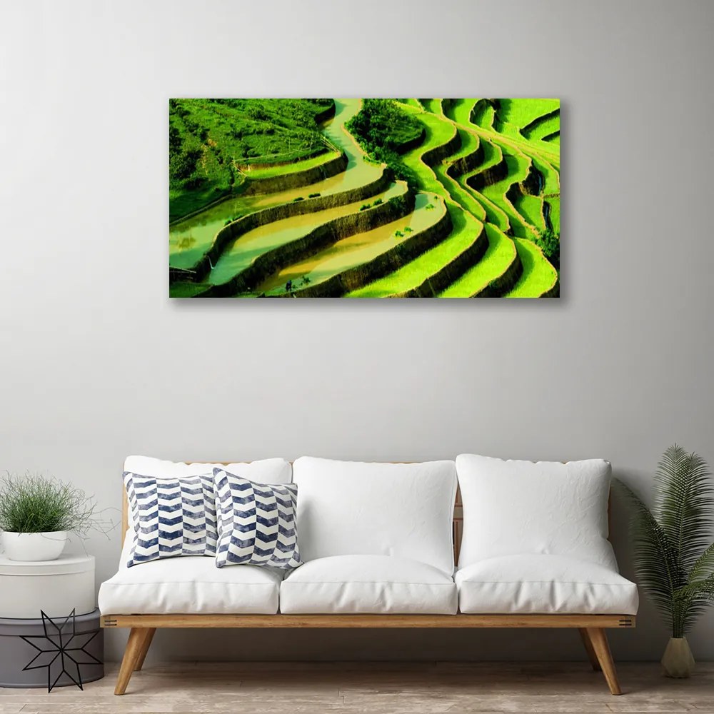 Obraz na plátně Pole Rýže Les Umění 100x50 cm