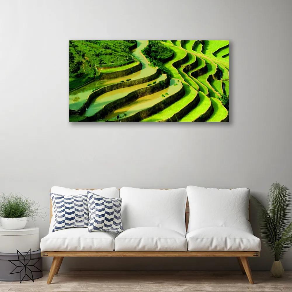 Obraz na plátně Pole Rýže Les Umění 120x60 cm