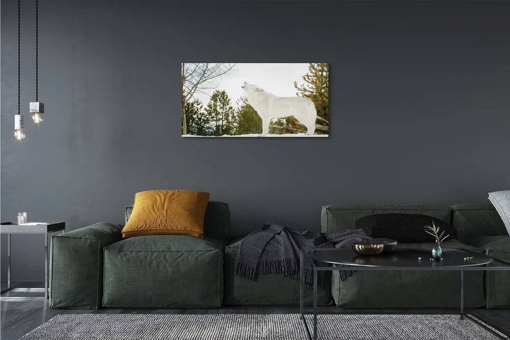 Obrazy na plátně Vlk v zimě lese 100x50 cm