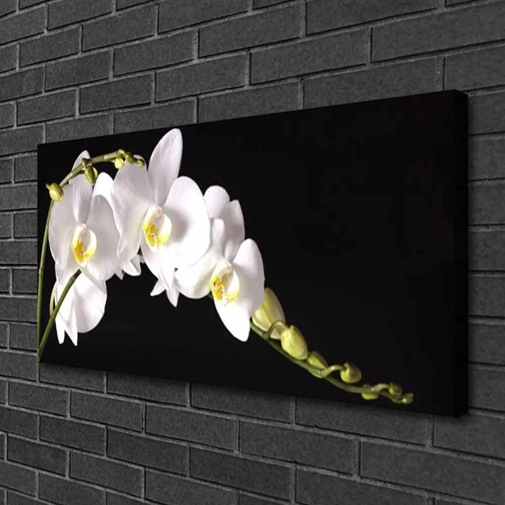 Obraz na plátně Květiny Rostlina 125x50 cm