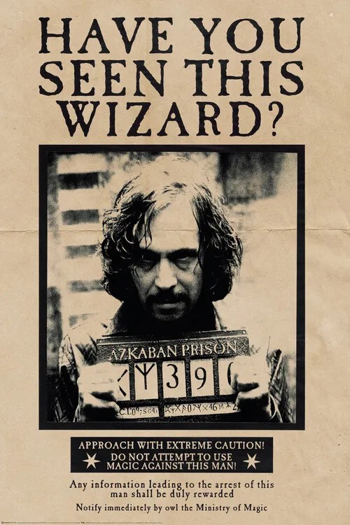 Plakát, Obraz - Harry Potter - Sirius Black, (61 x 91.5 cm)