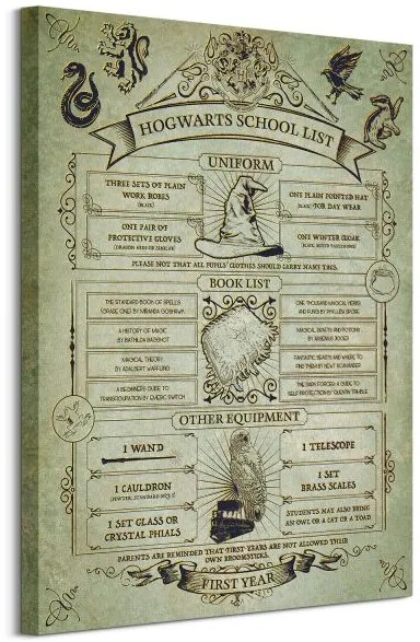 Obraz na plátně Harry Potter (Hogwarts School List) 60x80cm WDC100003