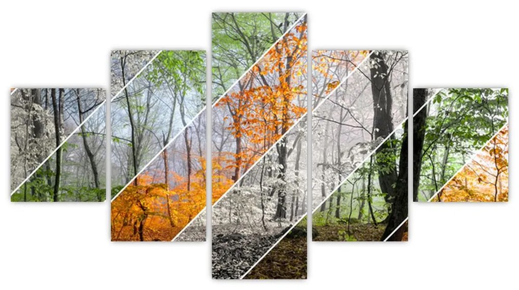 Obraz - Střídání ročních období (125x70 cm)