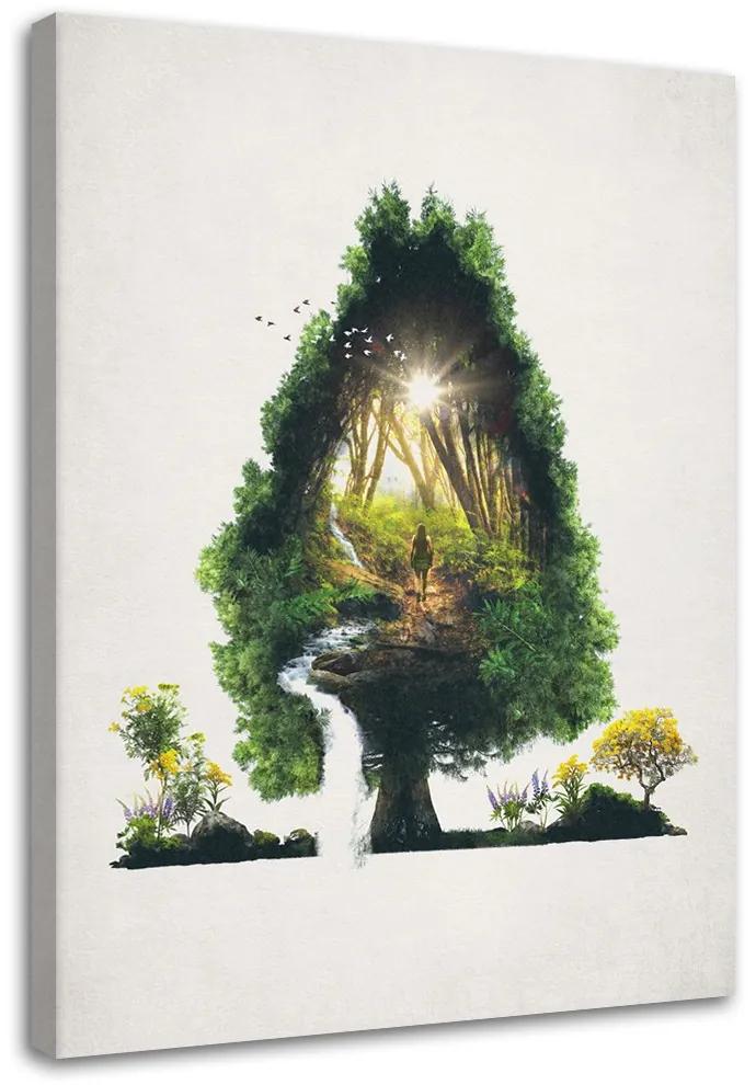 Gario Obraz na plátně Cesta ve stromě - Barrett Biggers Rozměry: 40 x 60 cm