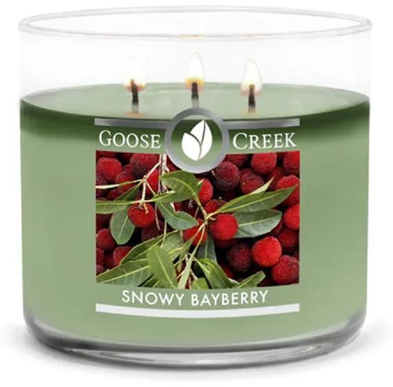Goose Creek Candle Snowy Bayberry 411 g