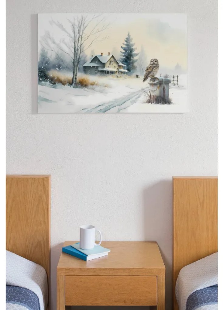 Obraz na plátně - Sova na poštovní schránce, venkov v zimě FeelHappy.cz Velikost obrazu: 120 x 80 cm