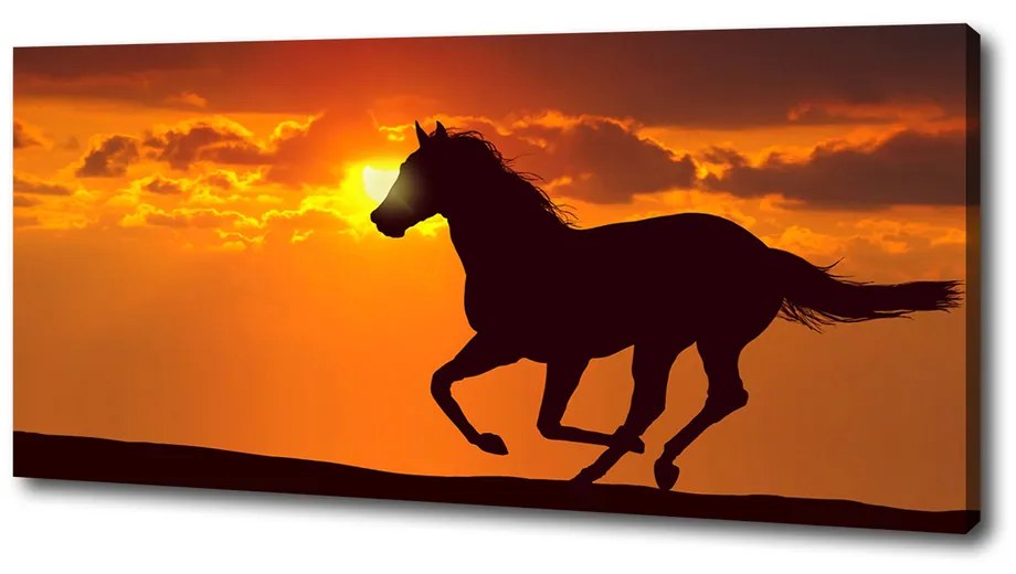 Wallmuralia Foto obraz na plátně do obýváku Kůň západ slunce 125x50 cm