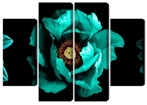 Vícedílný obraz Tyrkysové Květy Na Černém Pozadí Nedostatek Nedostatek Plátno Canvas 80x60