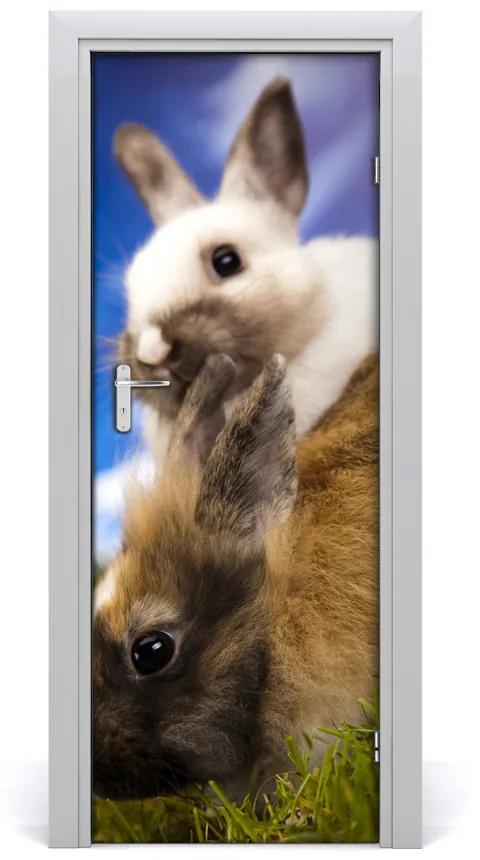 Samolepící fototapeta na dveře Dva králíci 75x205 cm