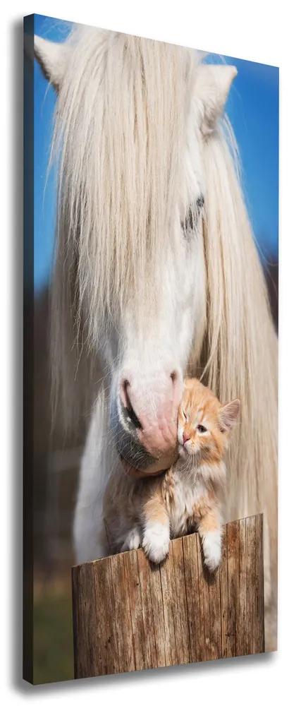 Wallmuralia Foto obraz na plátně Bílý kůň s kočkou 50x125 cm