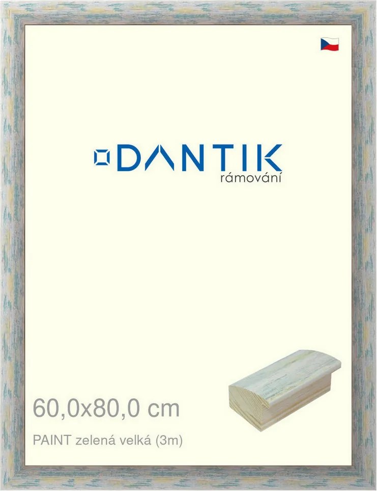 DANTIK rámeček 60x80 | PAINT zelená velká (Plexi Čiré)