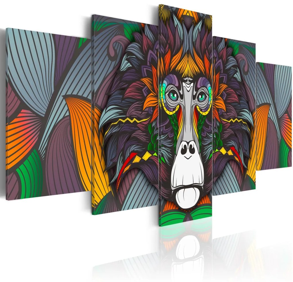Abstraktní obraz opice + háčky a hřebíčky ZDARMA Velikost (šířka x výška): 180x90 cm