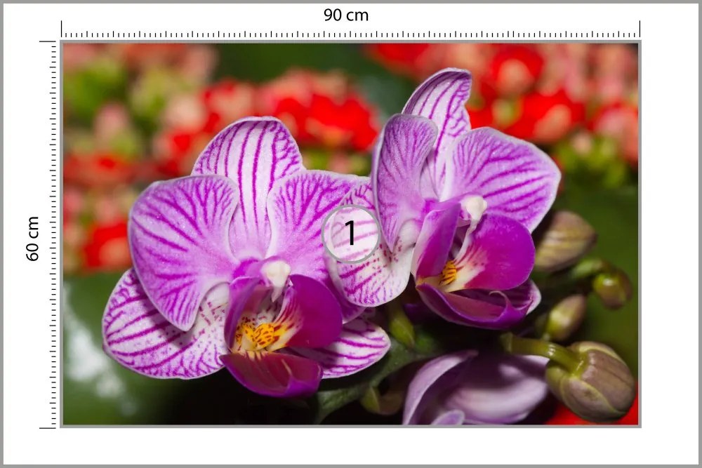 Fototapeta Optická Orchidea 3D Omyvatelný vlies 104x70.5