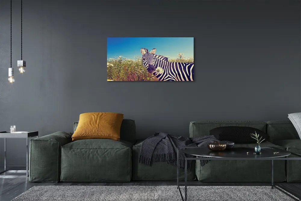 Obrazy na plátně zebra květiny 120x60 cm