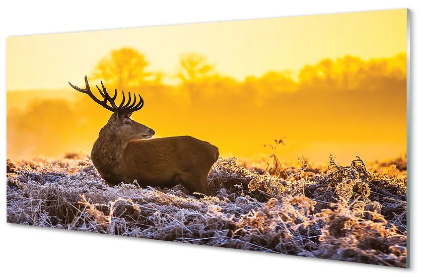akrylový obraz Jelen zimní slunce 120x60 cm
