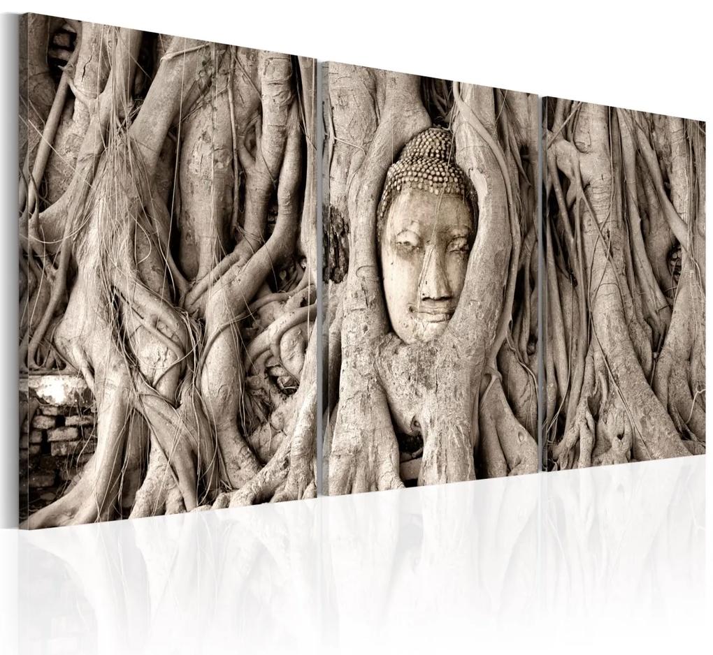 Obraz - Meditation's Tree