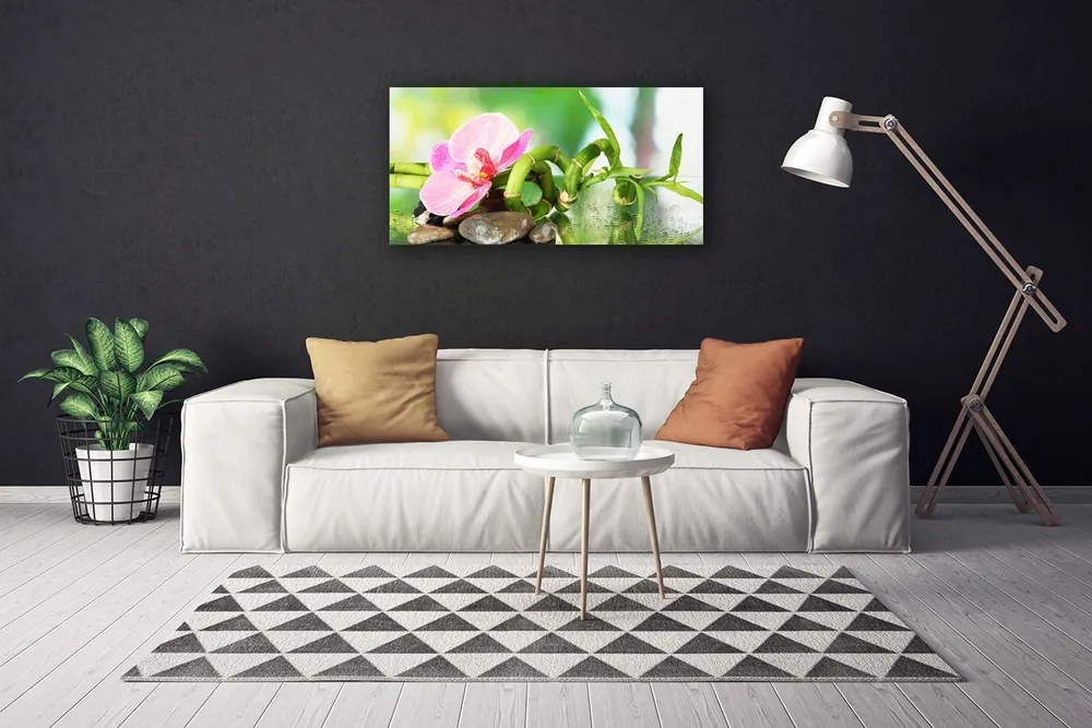 Obraz na plátně Bambus Stonek Rostlina Příroda 100x50 cm