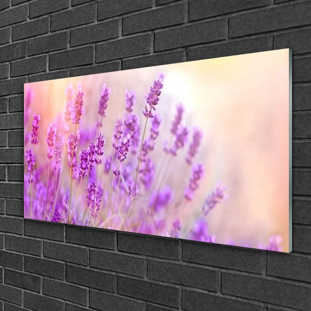 Obraz na skle Levandulové Pole Slunce Květiny 100x50 cm