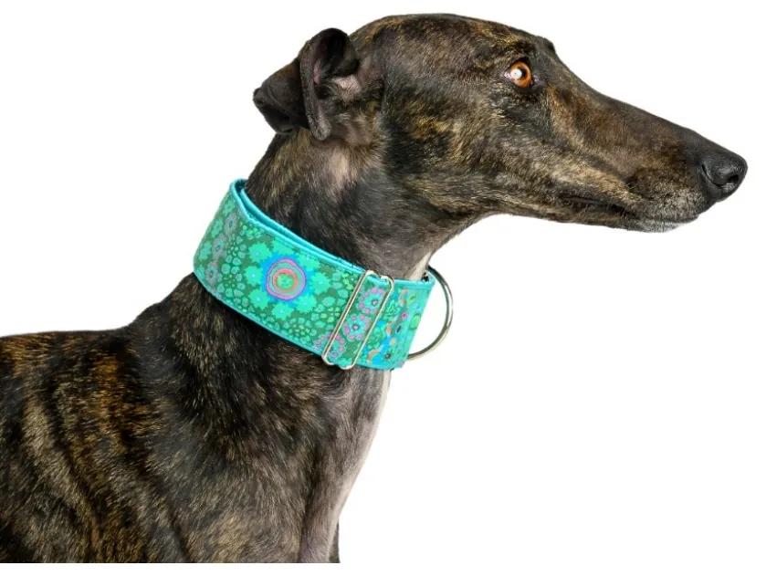 Obojek pro psa Grace Emily Abby smaragd Provedení: Stříbrná kovová spona, Délka obojku: L - 40 - 56 cm, Šířka obojku: 4 cm