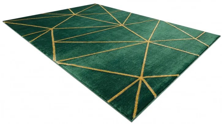 Dywany Łuszczów, Kusový koberec Emerald 1013 green and gold, 120x170, zelená, chodba / předsíň