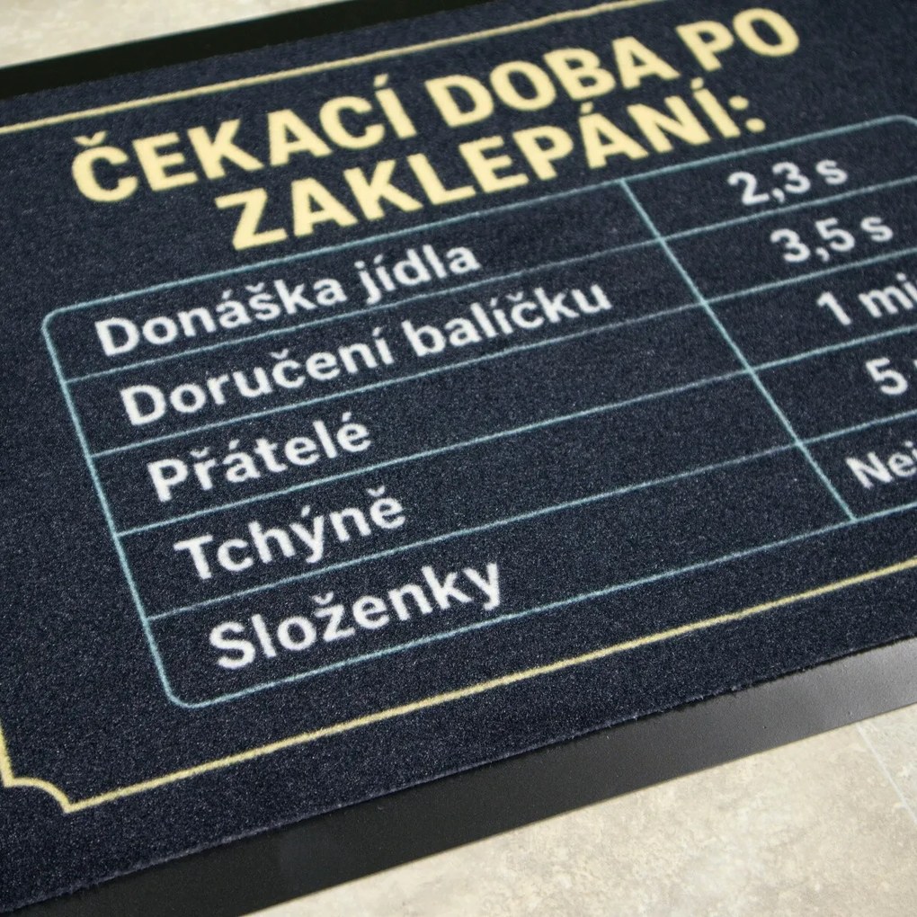 Mercury Flooring, Rohožka Čekací doba 40x60 cm - na ven i na doma, 40x60, černá
