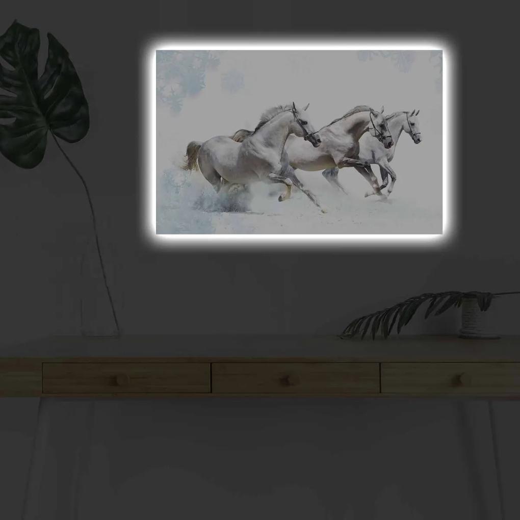 Obraz s LED osvětlením DIVOCÍ KONĚ 38 45 x 70 cm
