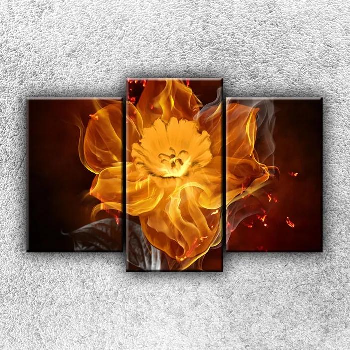 3 dílný obraz Hořící květ