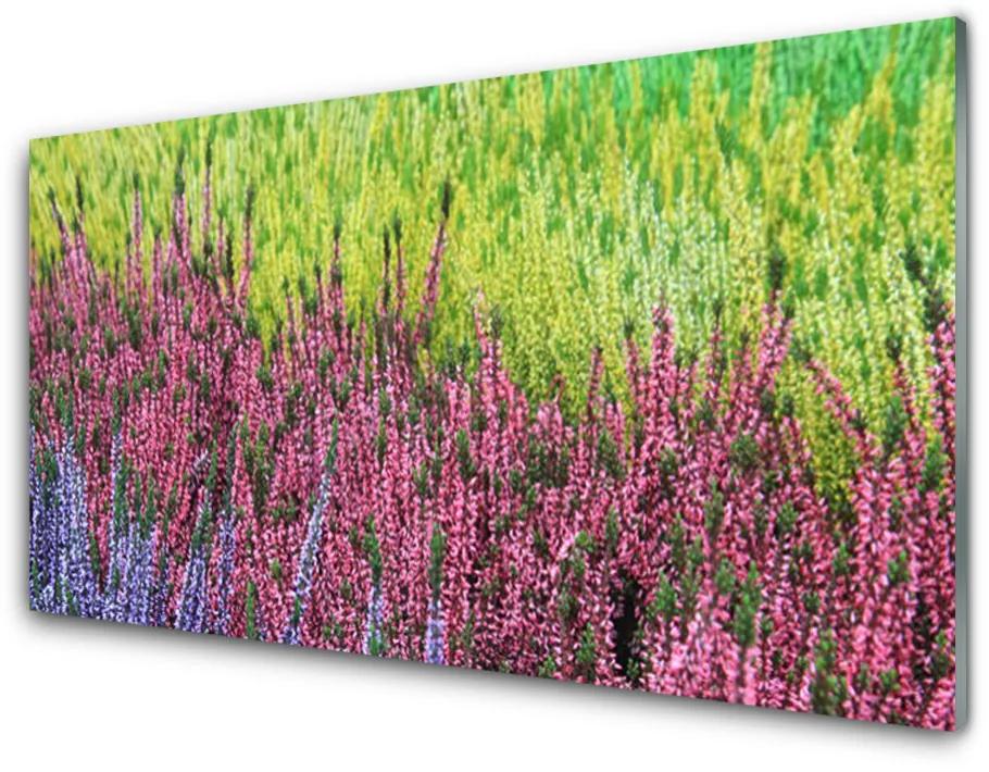 akrylový obraz Květ Rostlina Příroda 140x70 cm