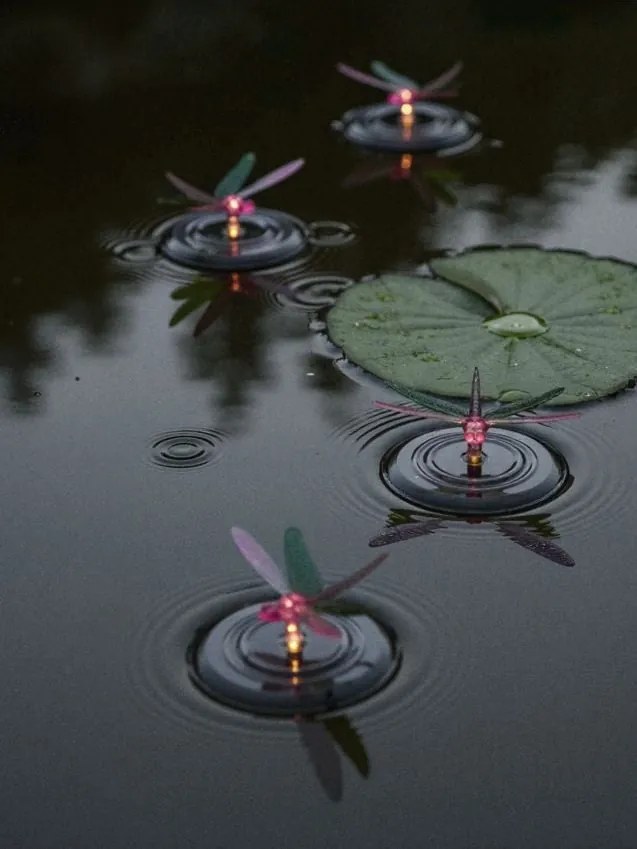 Sinsay - Solární LED lampička s motivem vážky - clear