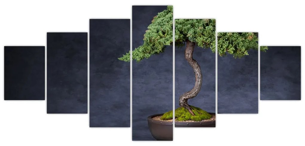 Obraz - Bonsai (210x100 cm)